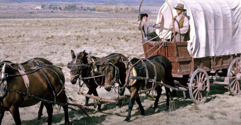 The Oregon Trail: 9 Facts That Reveal the Hardships and Surprises Along ...